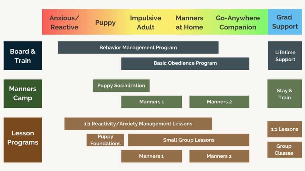 Dog Training Services | Canine Academy